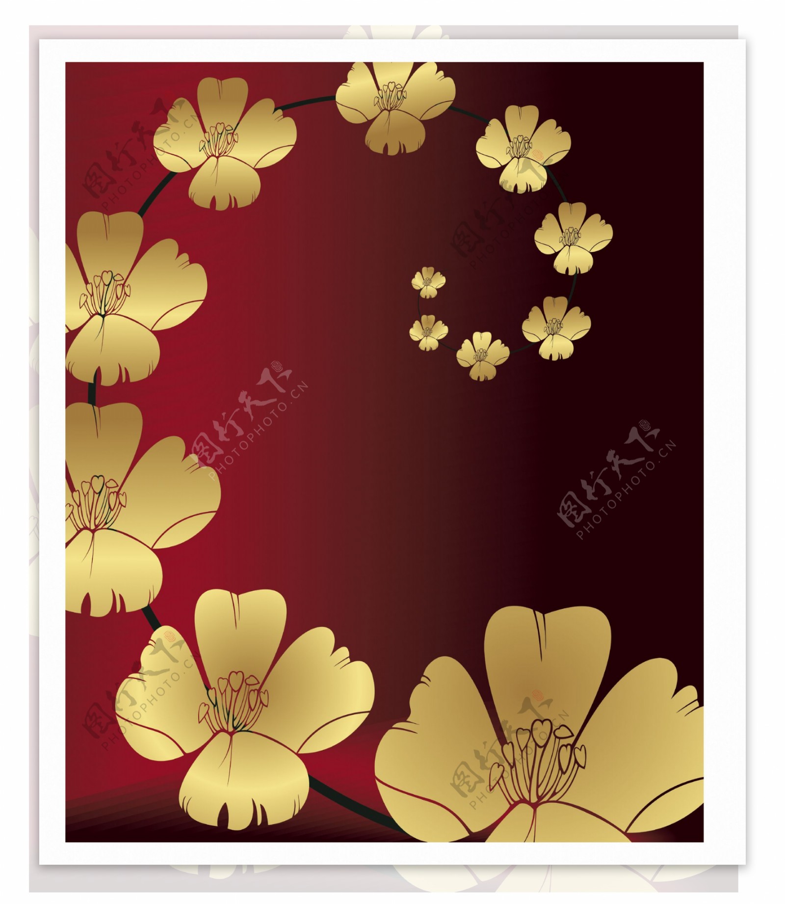 紫金花开图片素材-编号05539784-图行天下