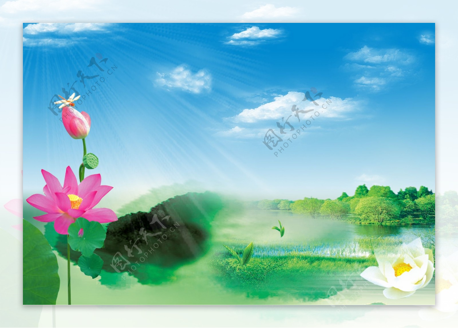 荷花蓝天风景图图片素材-编号09929874-图行天下