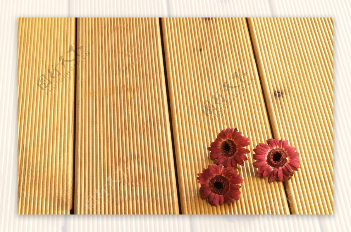 竹垫上的菊花图片素材-编号09931094-图行天下