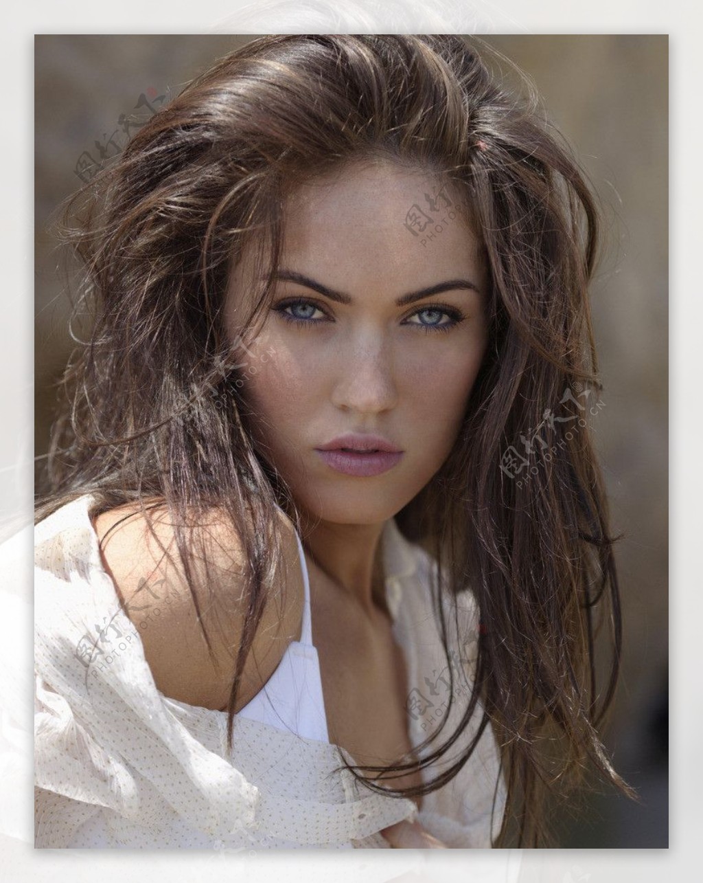 梅根福克斯图片素材-编号11767504-图行天下