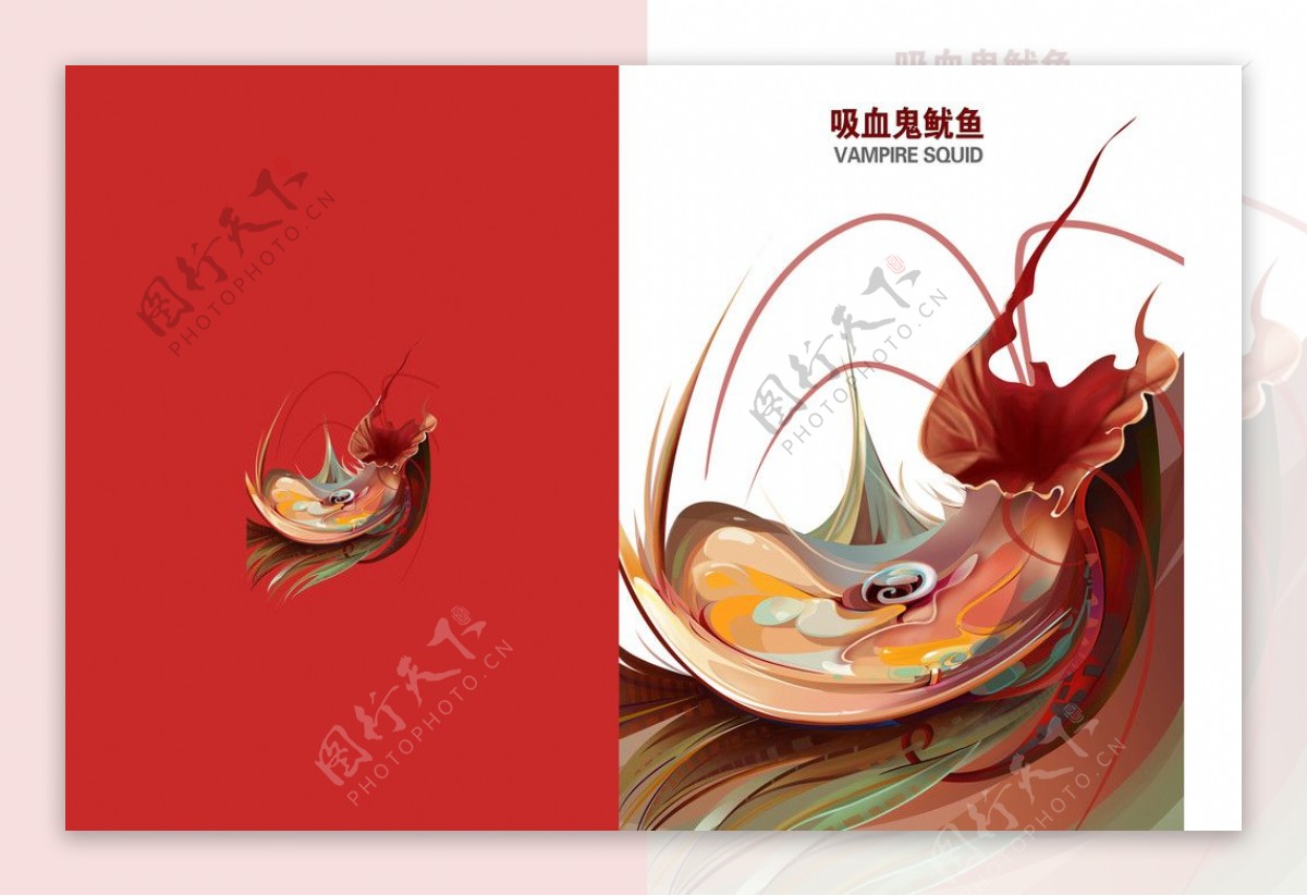 吸血鬼鱿鱼图片素材-编号12191054-图行天下