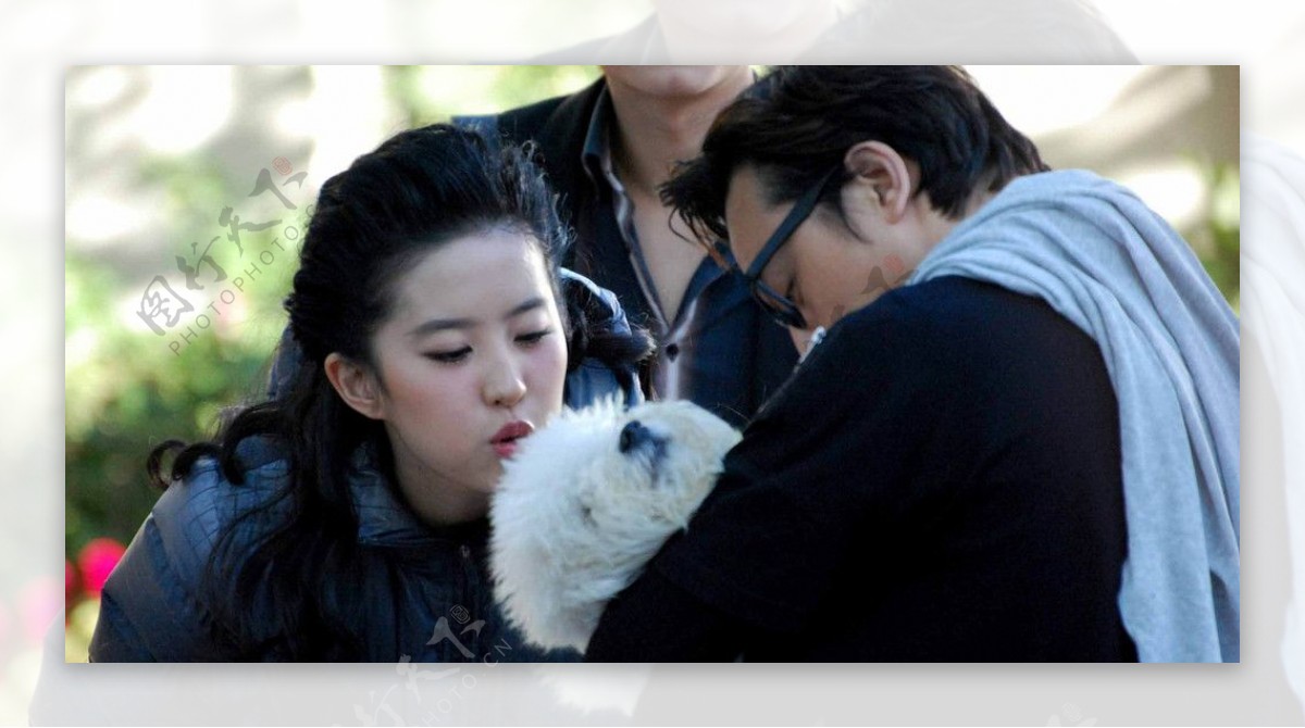 刘亦菲图片素材-编号13516904-图行天下