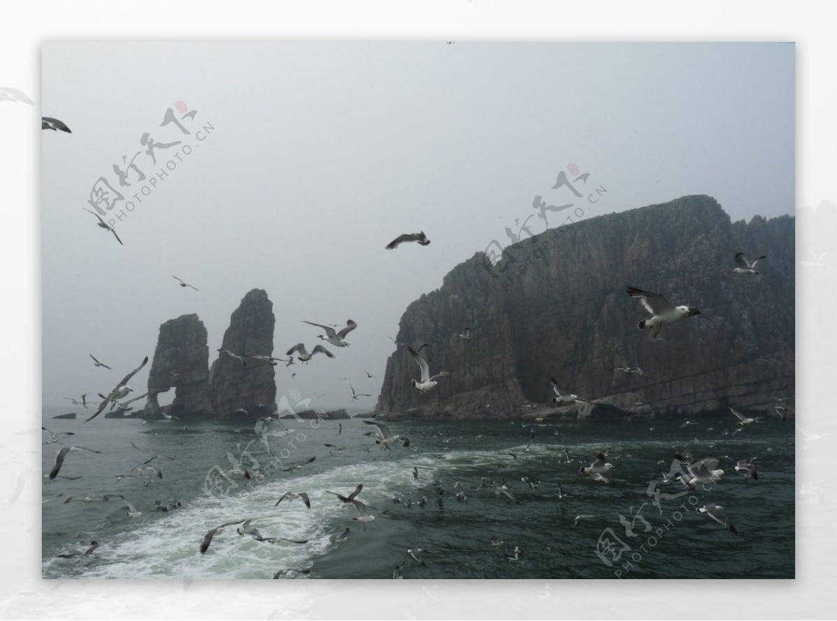 鸟岛图片素材-编号15306364-图行天下