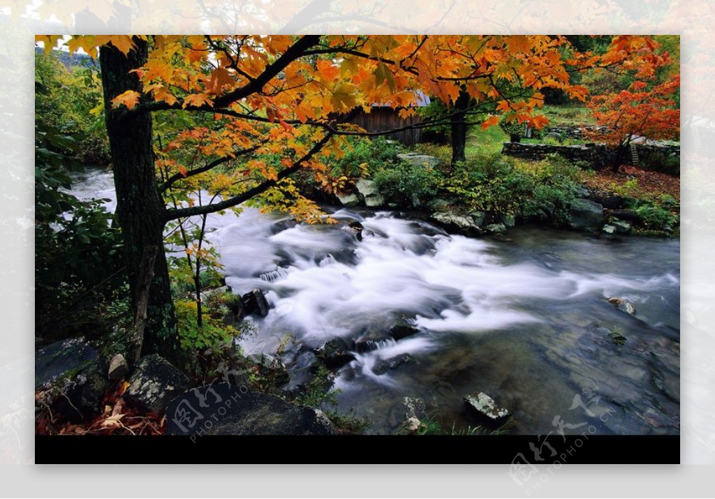 自然丽景0034图片素材-编号19987524-图行天下