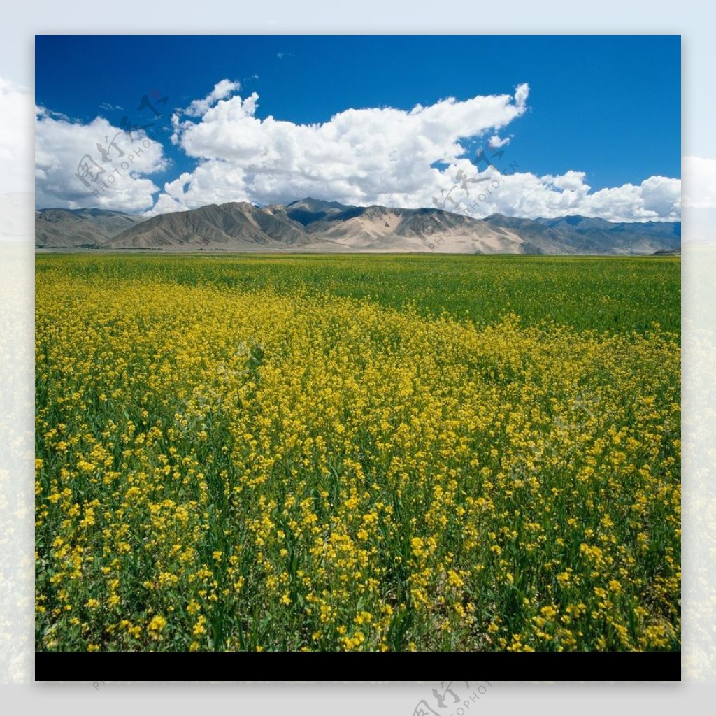 自然风光0043图片素材-编号20028794-图行天下