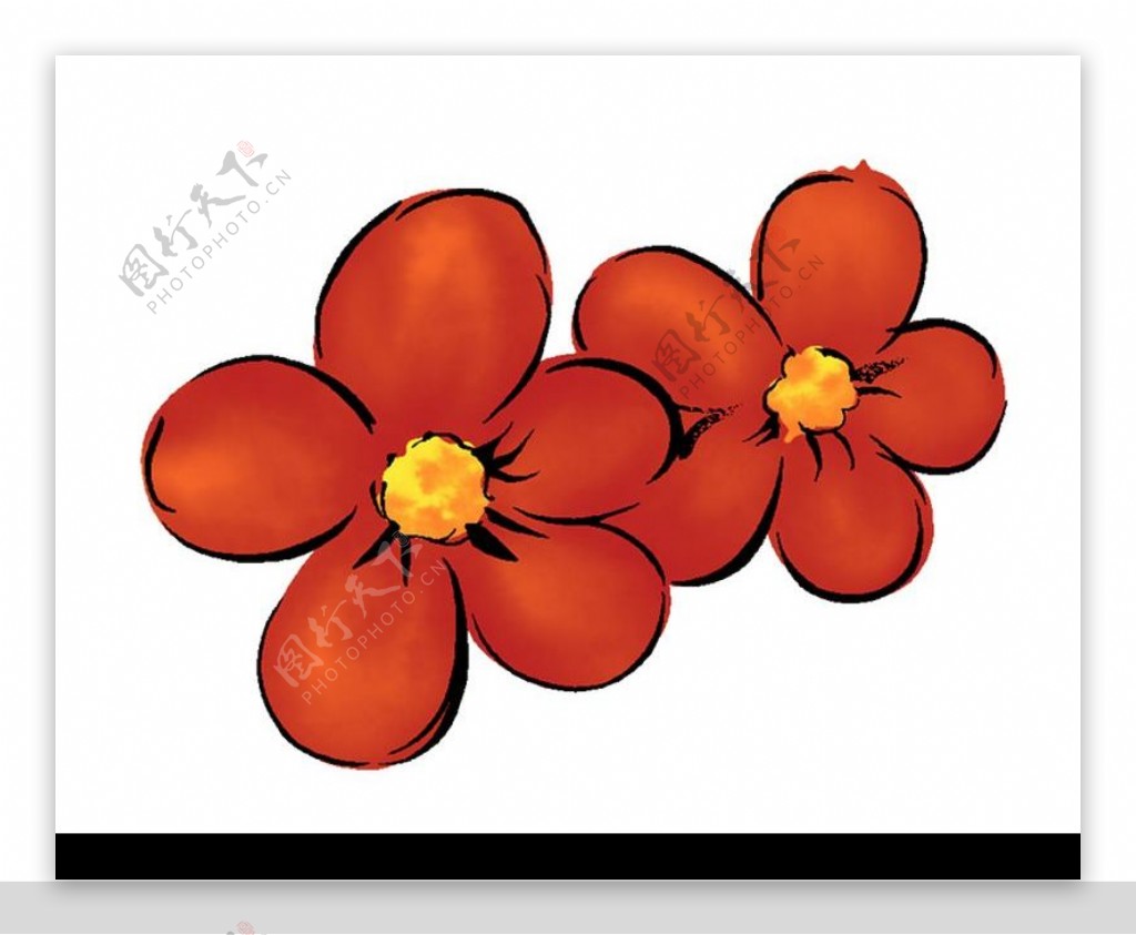 花纹0040图片素材-编号20048894-图行天下