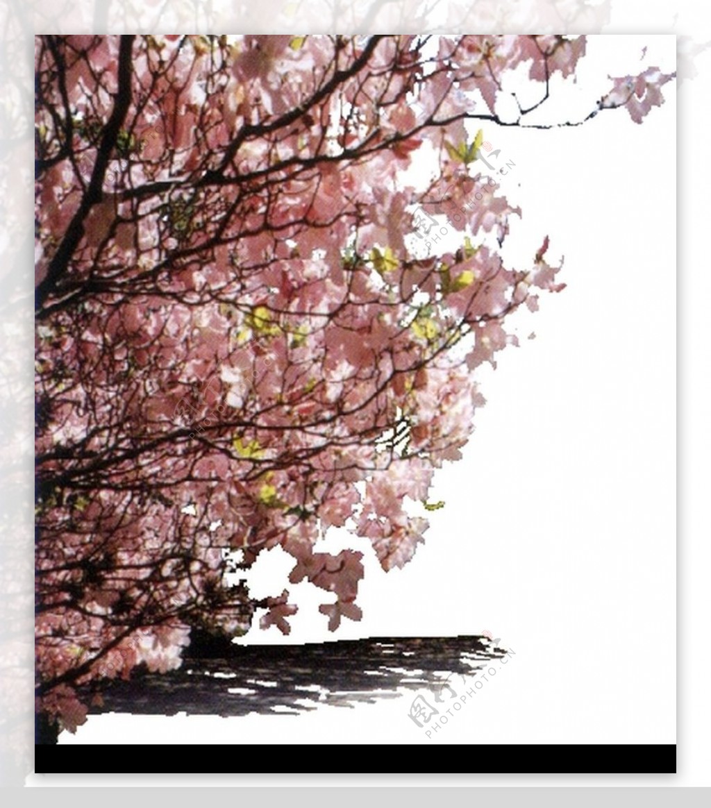 近景树0085图片素材-编号20051874-图行天下