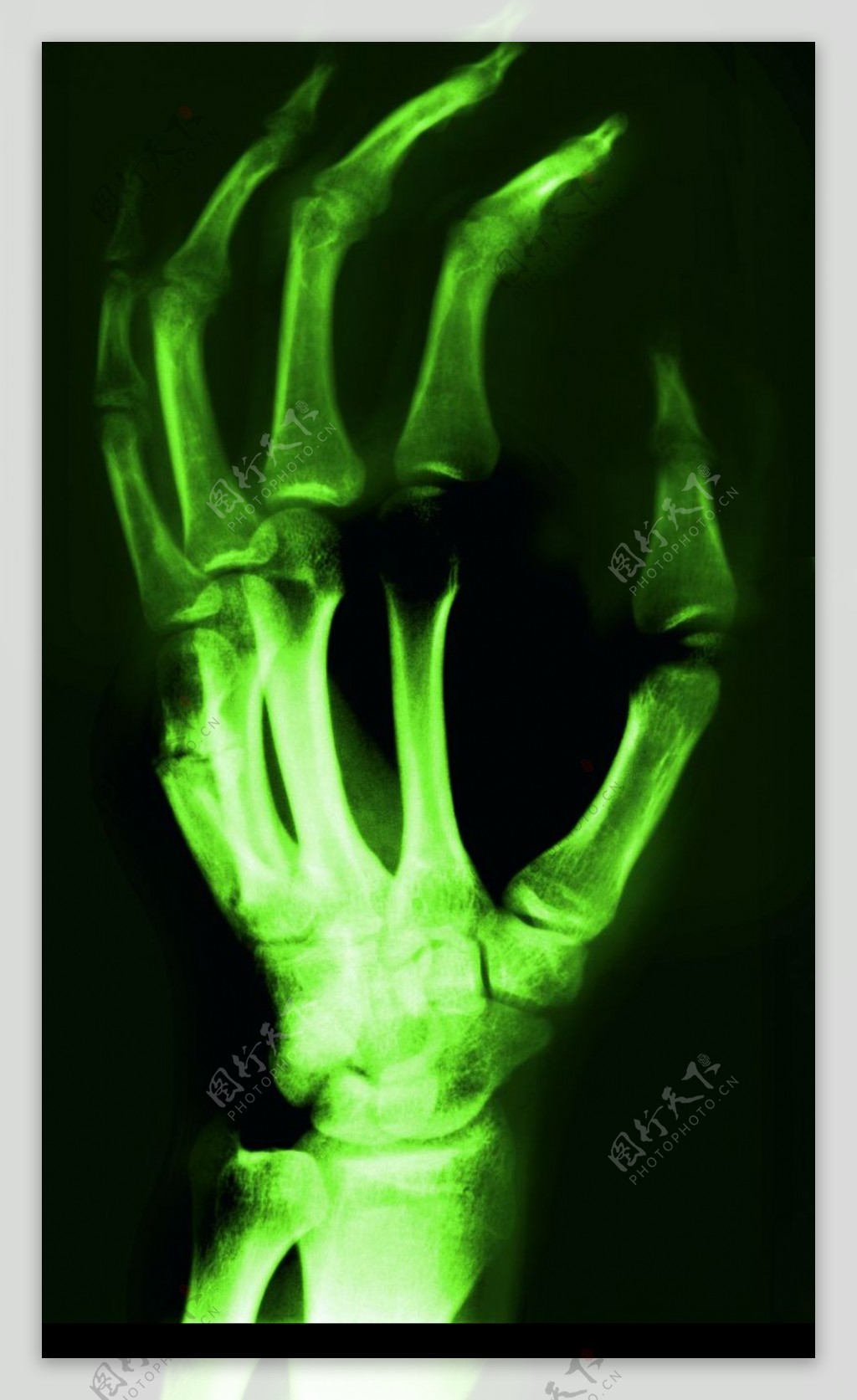 现代医学0292图片素材-编号20195594-图行天下