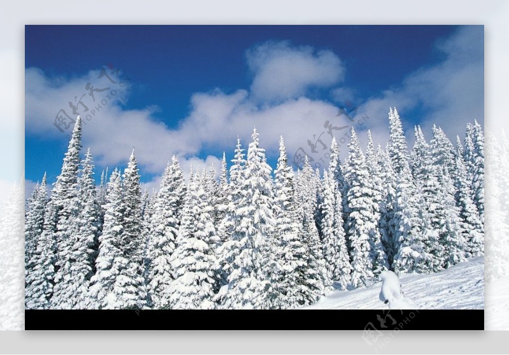 冬天雪景0602图片素材-编号20212684-图行天下