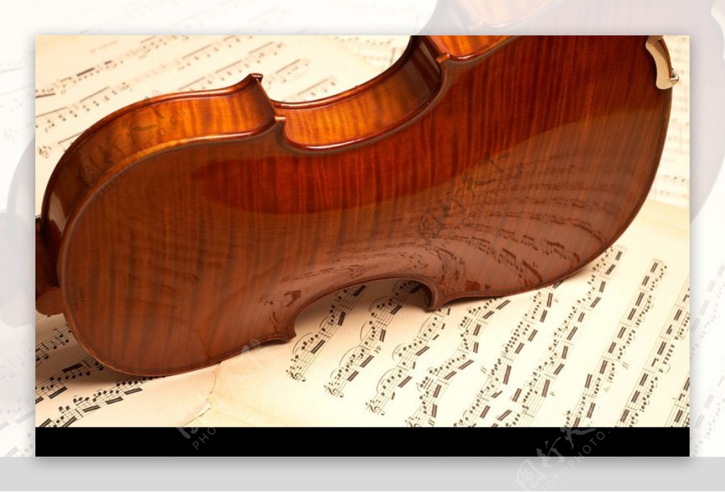 小提琴0059图片素材-编号20310784-图行天下