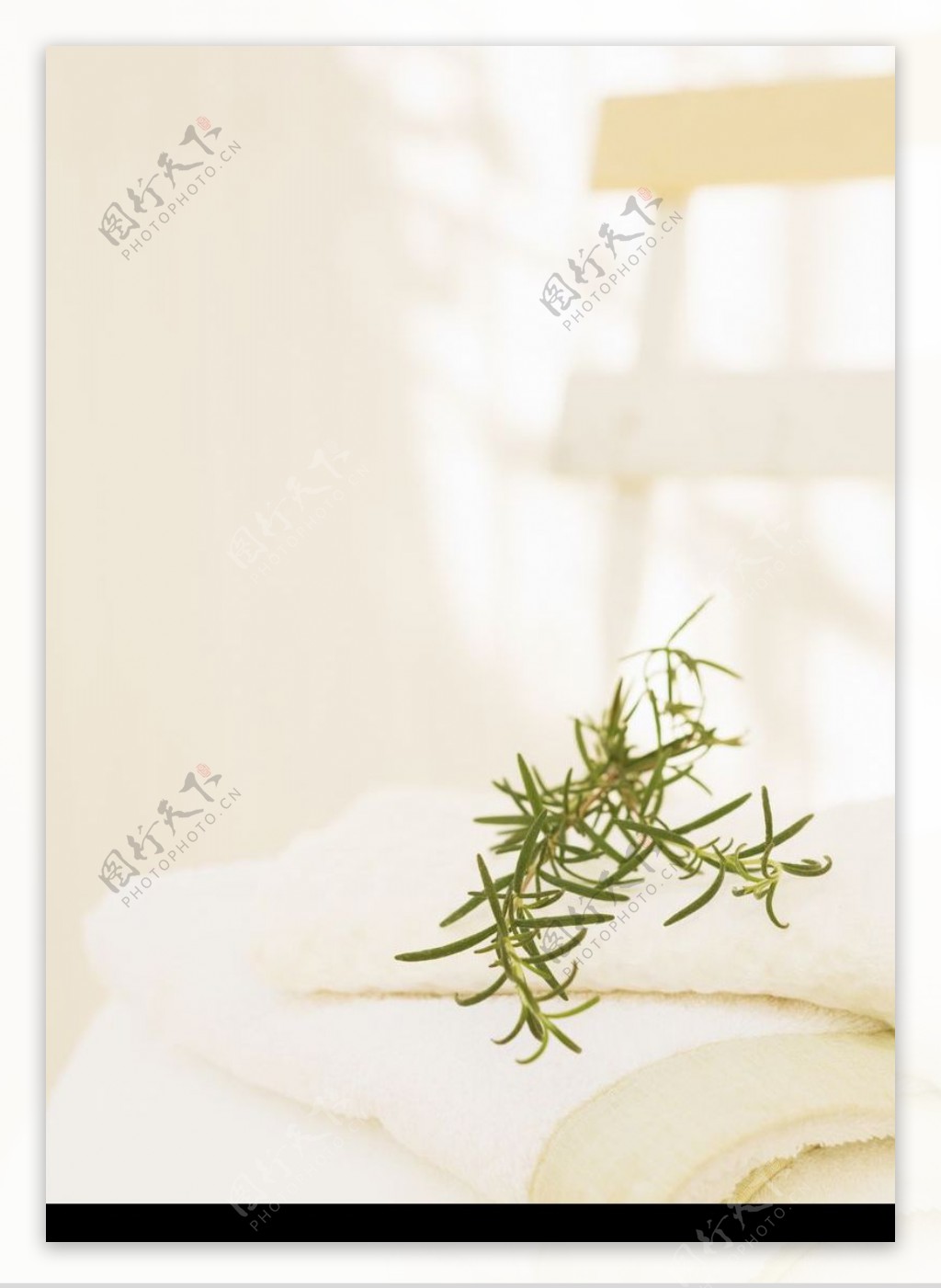 室内绿化和花草0052图片素材-编号20336024-图行天下