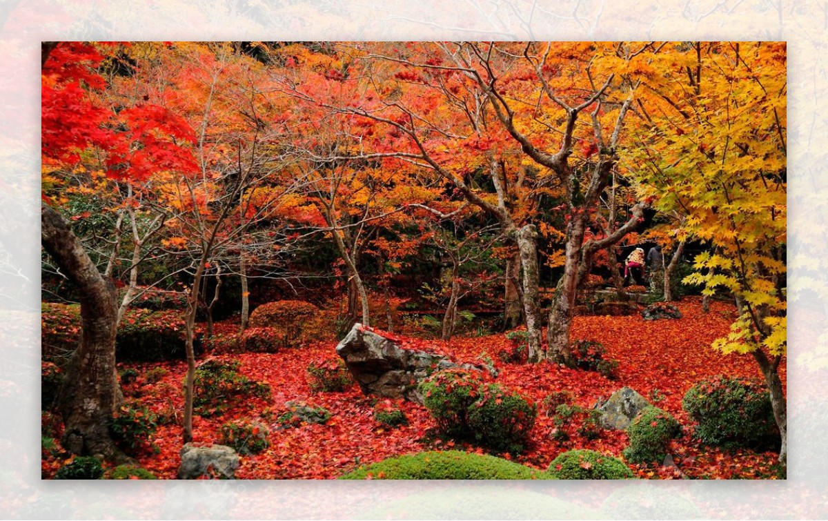 秋色怡人图片素材-编号23514784-图行天下