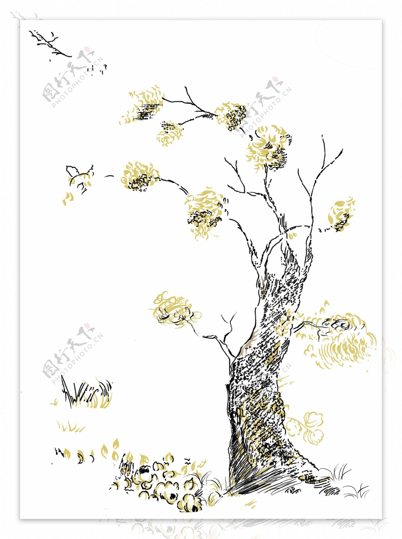 花草插图花纹图案0352图片素材-编号26375574-图行天下