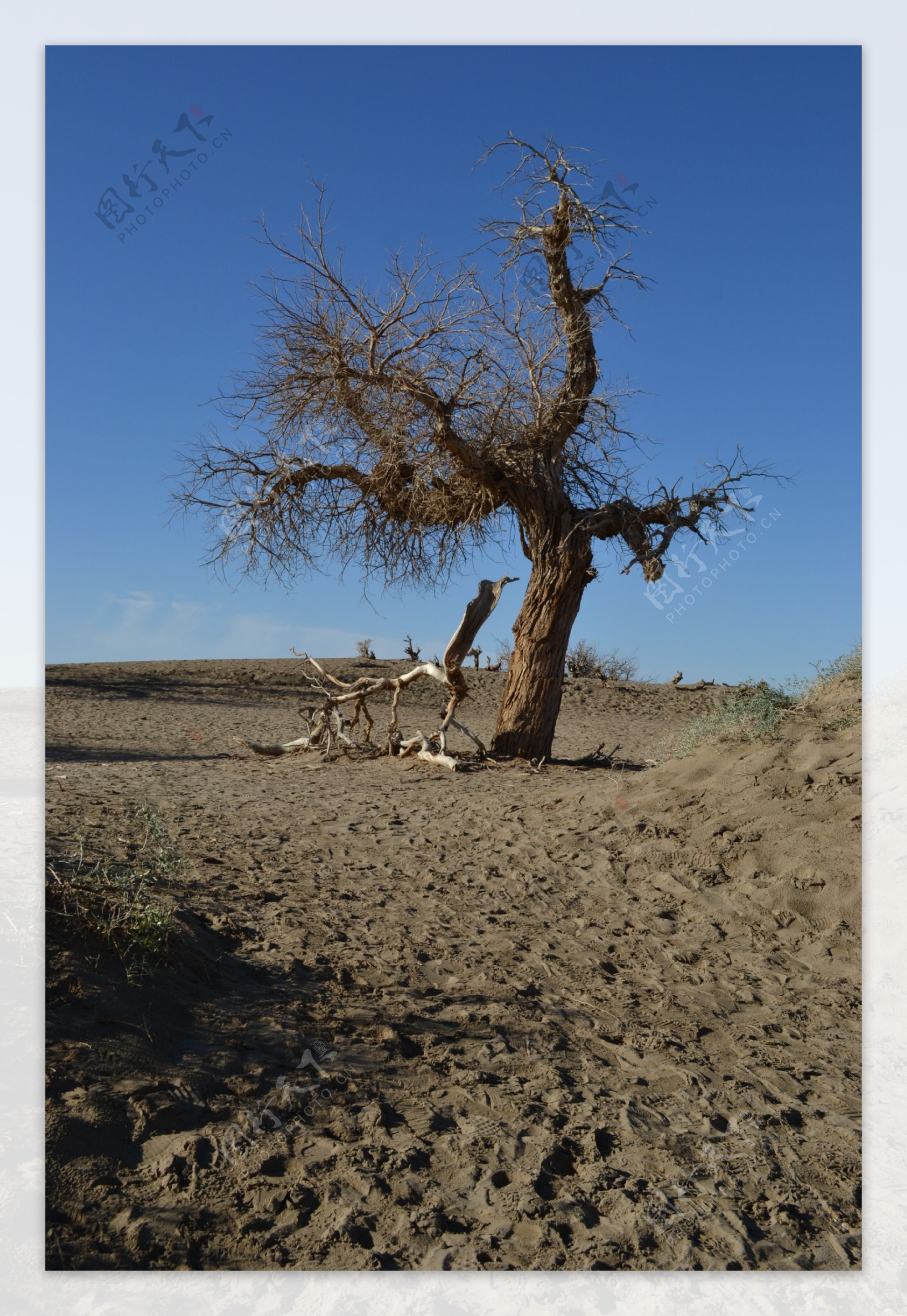 戈壁滩风光图片素材-编号28220054-图行天下