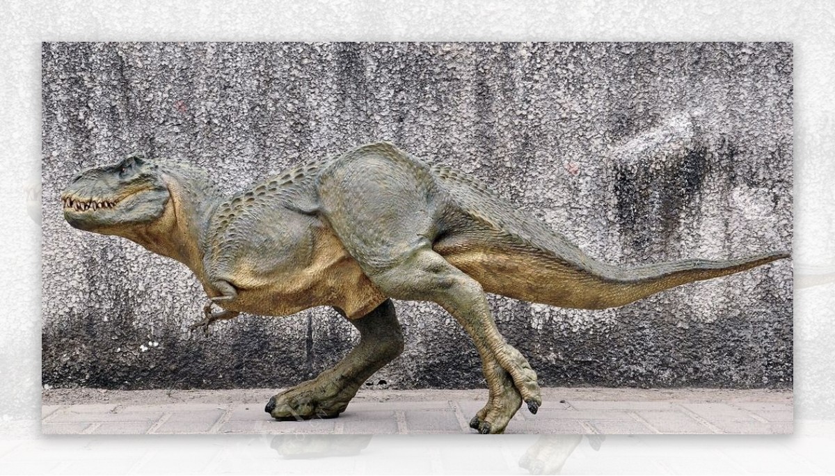 霸王龙图片素材-编号29494944-图行天下