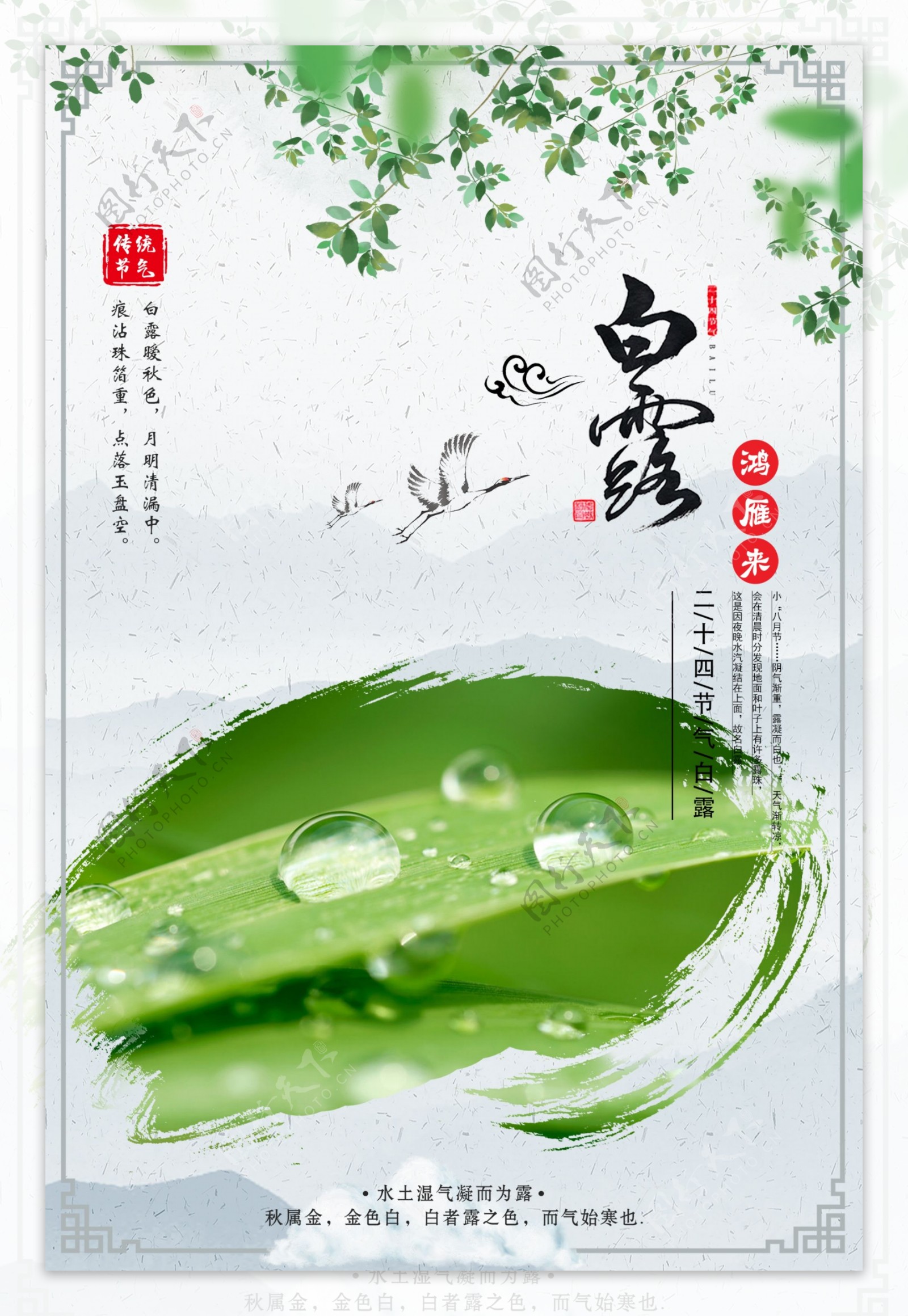 白露图片素材-编号31219144-图行天下