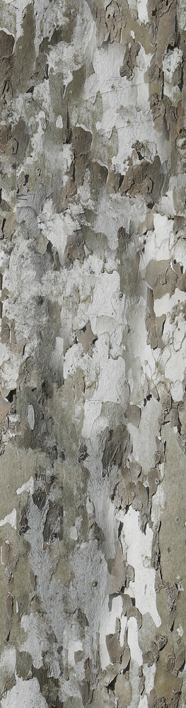 园艺艺术树模型下载图片素材-编号31452124-图行天下